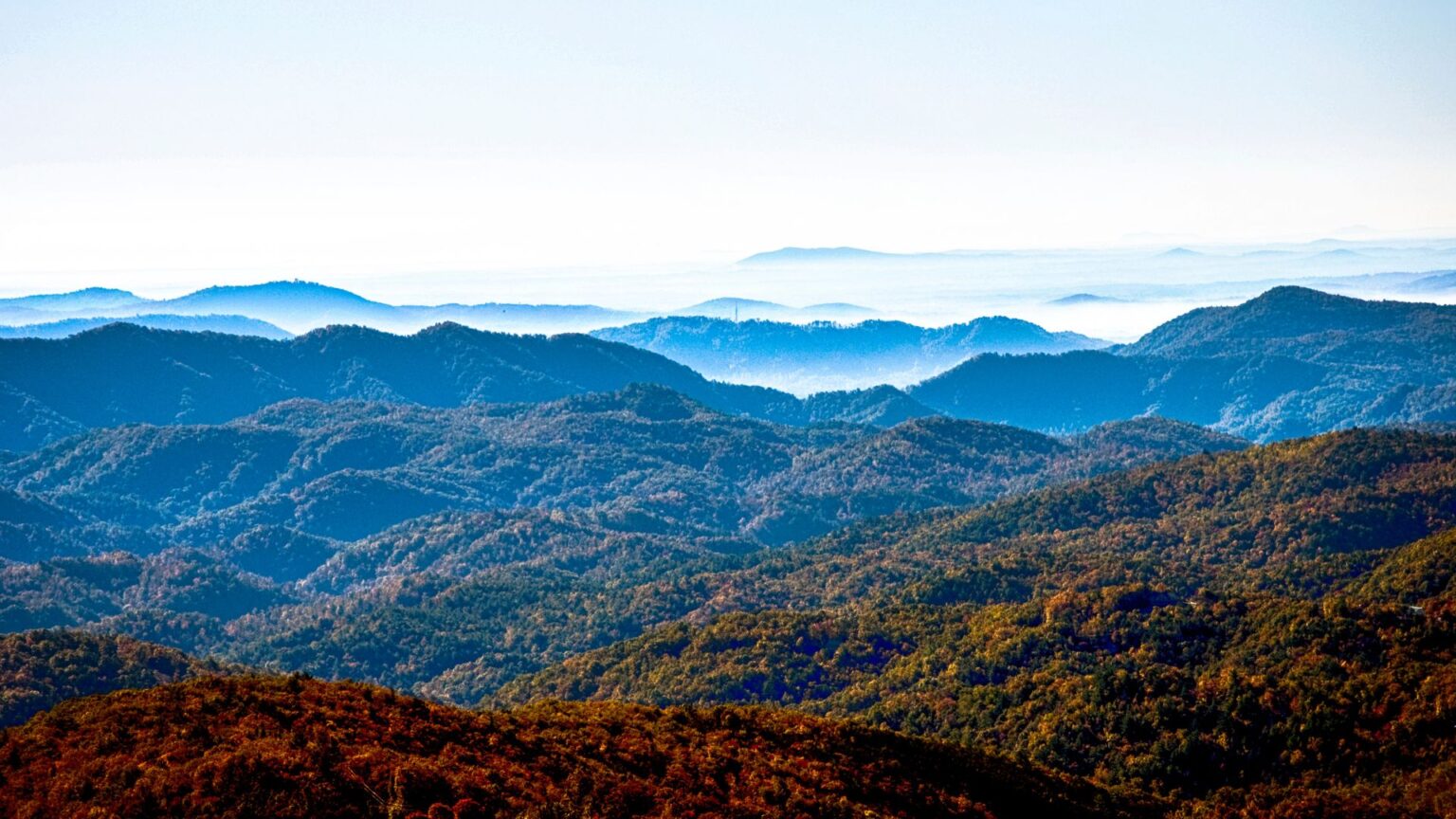 Relocation Guide - Explore North Carolina