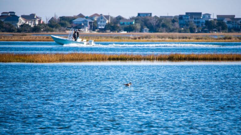 Relocation Guide - Explore North Carolina